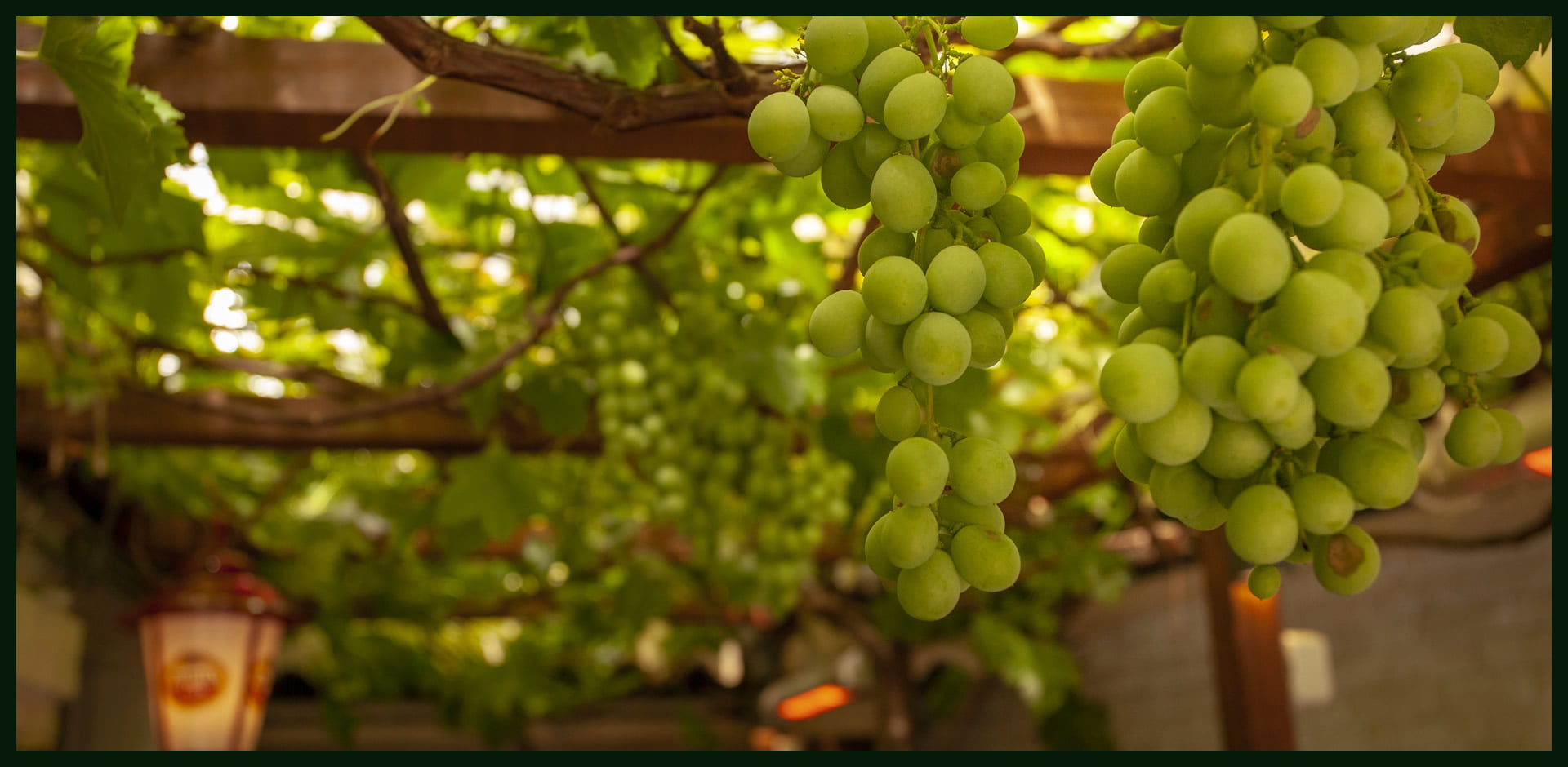 Proeflokaal de Groene Druif - Een begrip in Heemstede